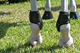 Leg Protection – Spotted M Tack